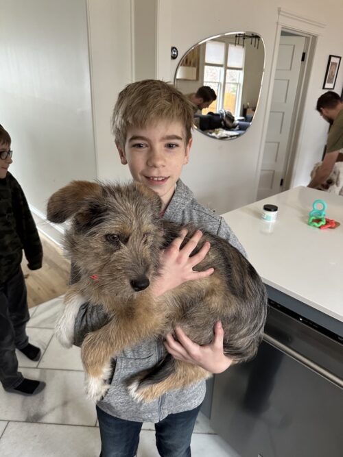 2024 Review — The year my dreams came true | Nathan Barry